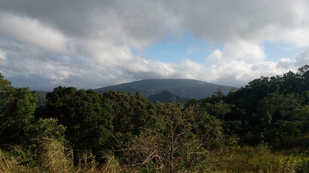 Mt. Balagbag – A Visit to My Province’s Own (775+ MASL) – Highland ...