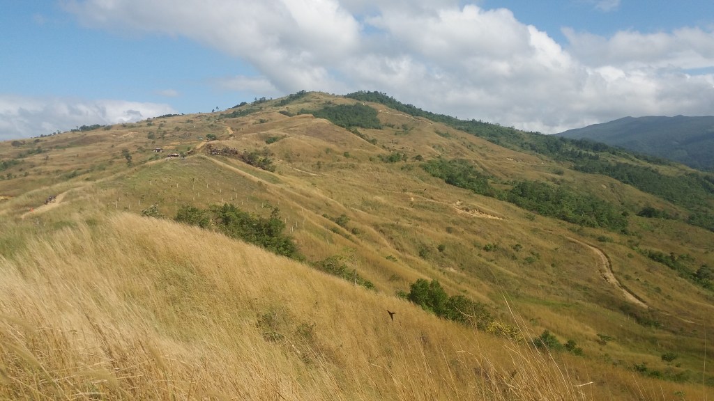 Mt. Balagbag – A Visit to My Province’s Own (775+ MASL) – Highland ...