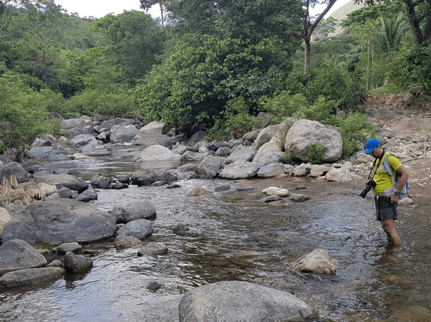 Mt. Irid – An Intense Day Hike (1,467+ MASL) – Highland Reflections ...