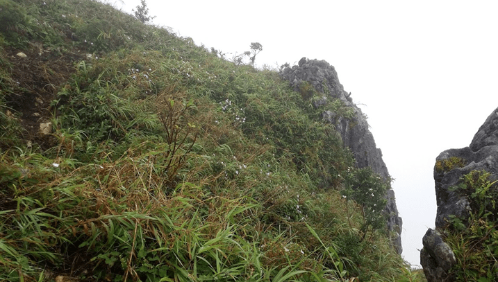 Mt. Irid – An Intense Day Hike (1,467+ MASL) – Highland Reflections ...