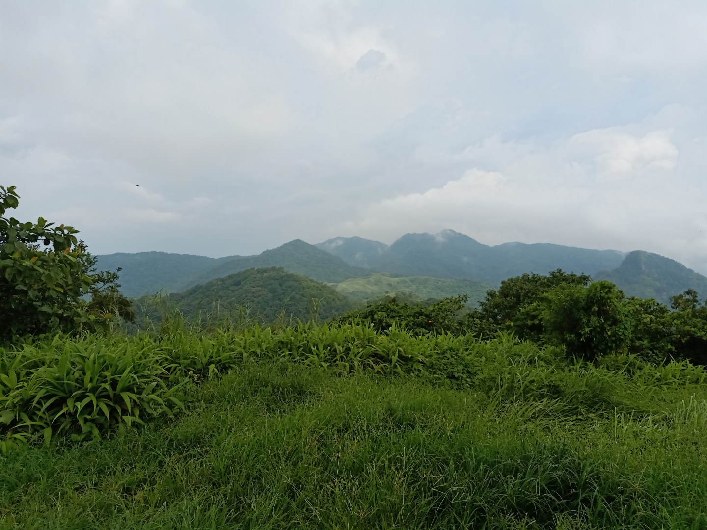 Malarayat Traverse: Mt. Malipunyo Traverse to Mt. Manabu (1,005+ MASL ...