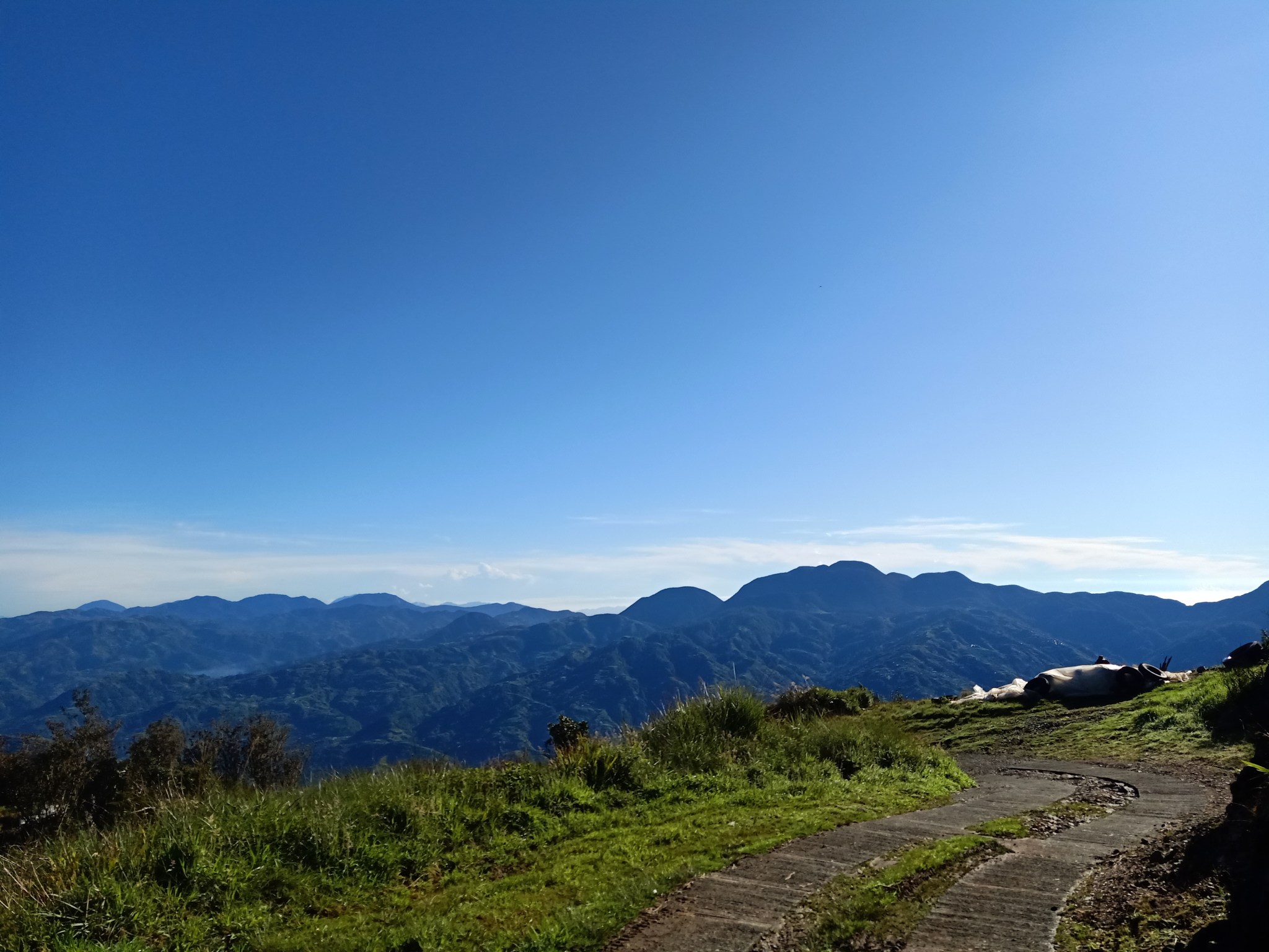 Mt. Tabayoc (2,842+ MASL) & Mt. Timbak (2,717+ MASL) | The Second and ...