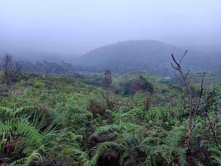 Mt. Tabayoc (2,842+ MASL) & Mt. Timbak (2,717+ MASL) | The Second and ...