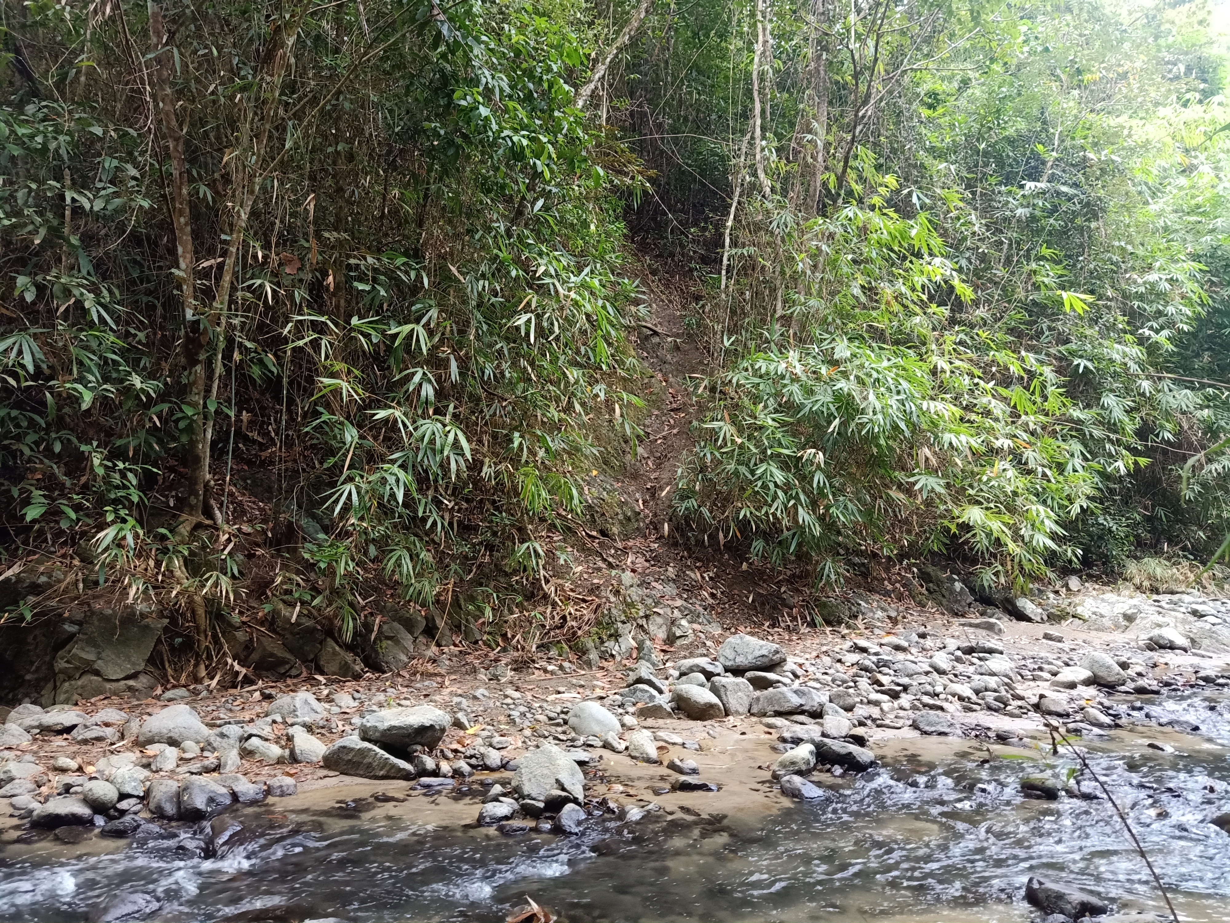 Mt. Damas (685+ MASL) and Ubod Falls Dayhike – Highland Reflections ...
