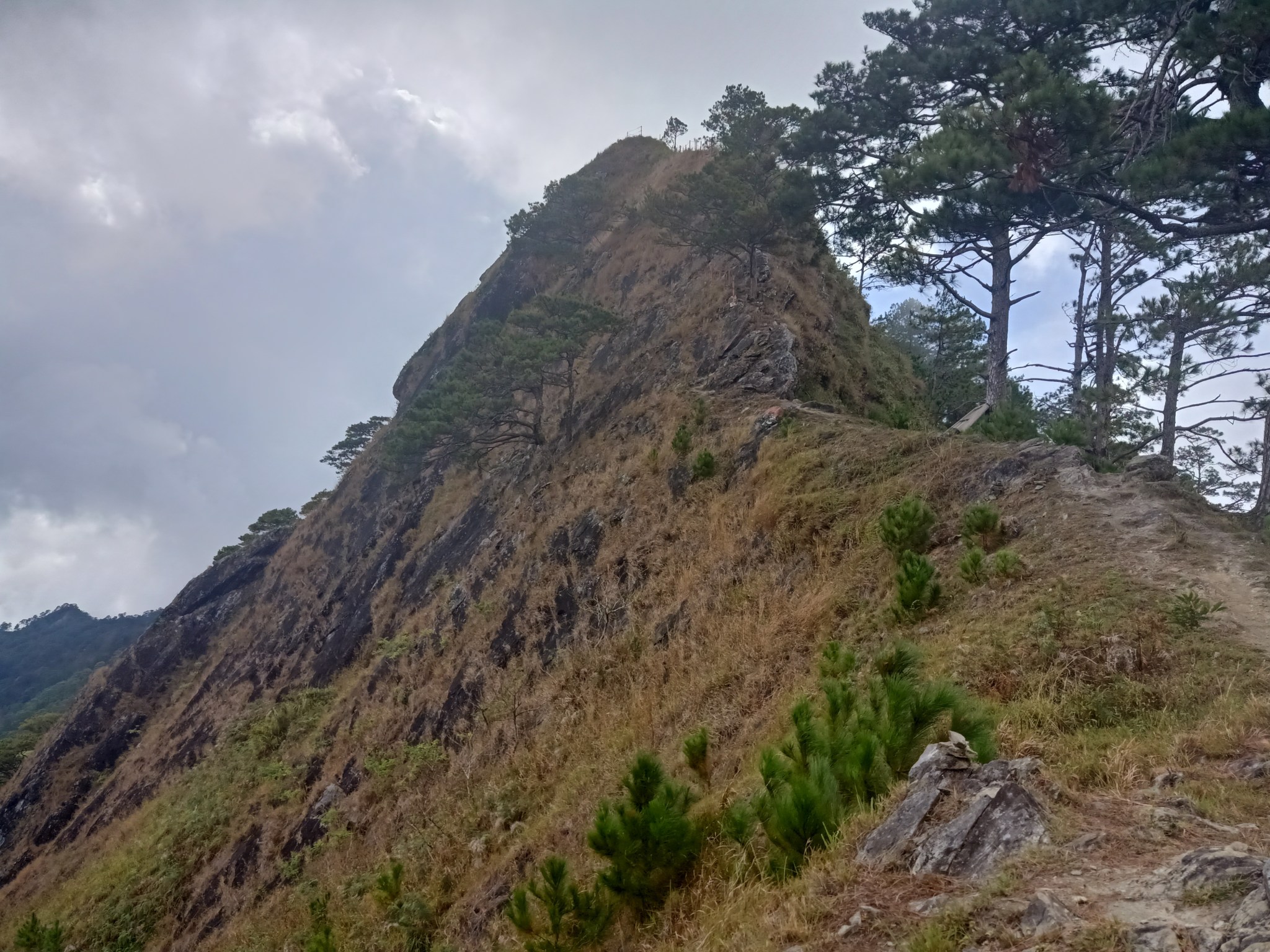 Mt. Pigingan Dayhike (1,328+ MASL) – Highland Reflections: Kaisipan ...