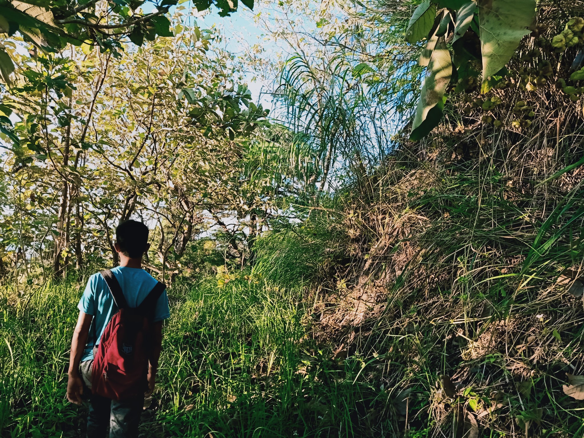 Mt. 387 (724+ MASL) Traverse to Aloha Falls – Highland Reflections ...
