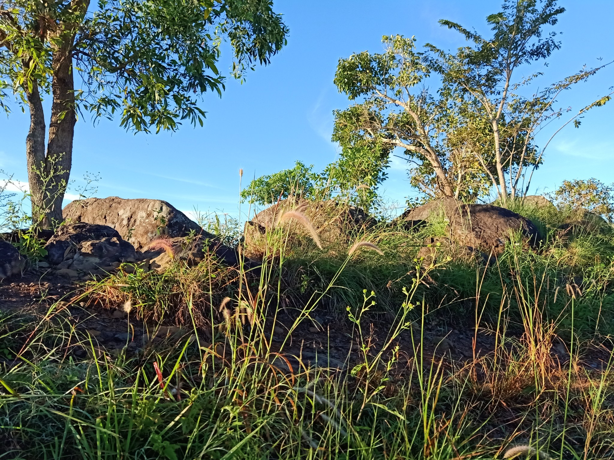 Mt. 387 (724+ MASL) Traverse to Aloha Falls – Highland Reflections ...