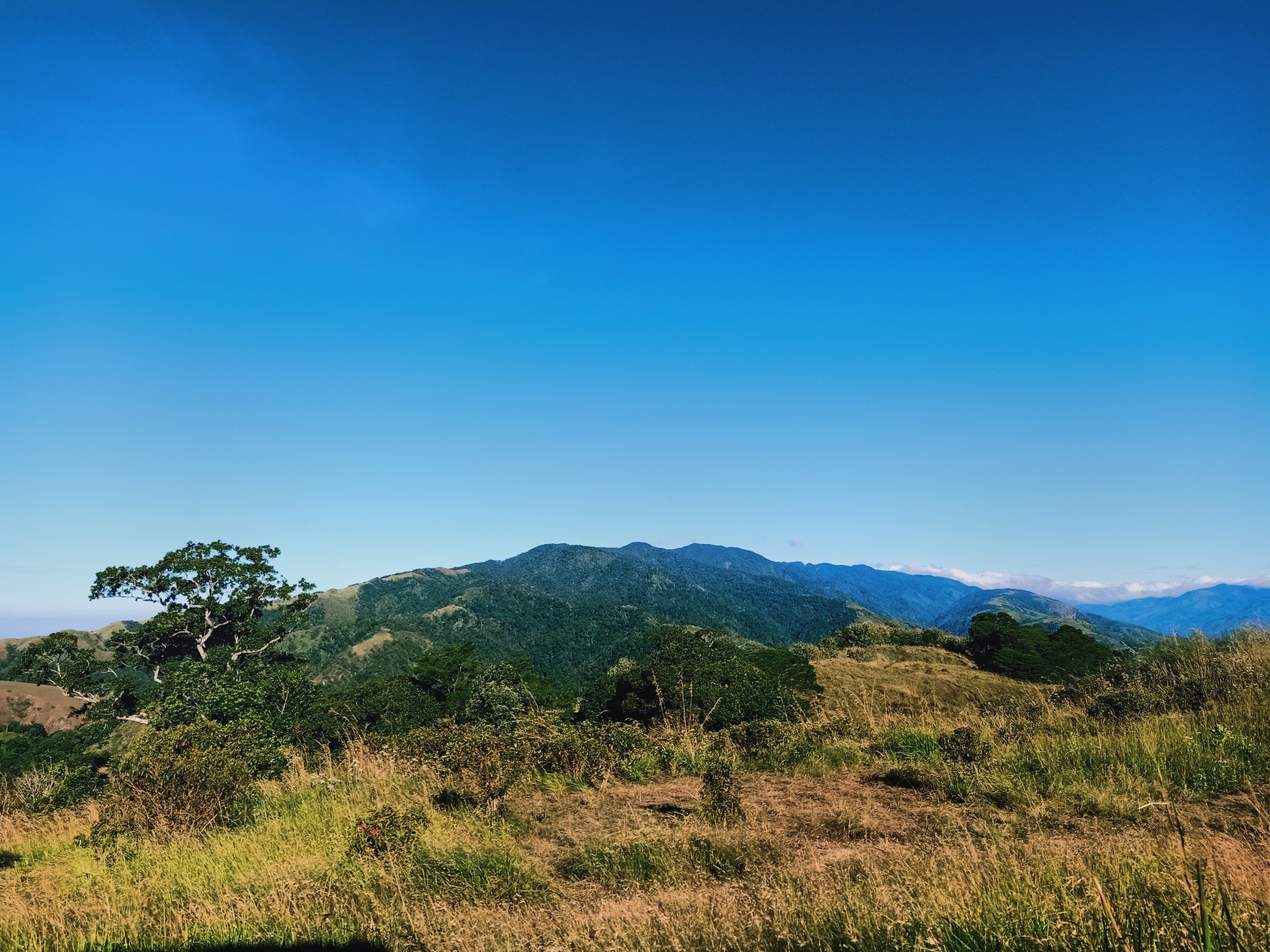 Mt. 387 (724+ MASL) Traverse to Aloha Falls – Highland Reflections ...