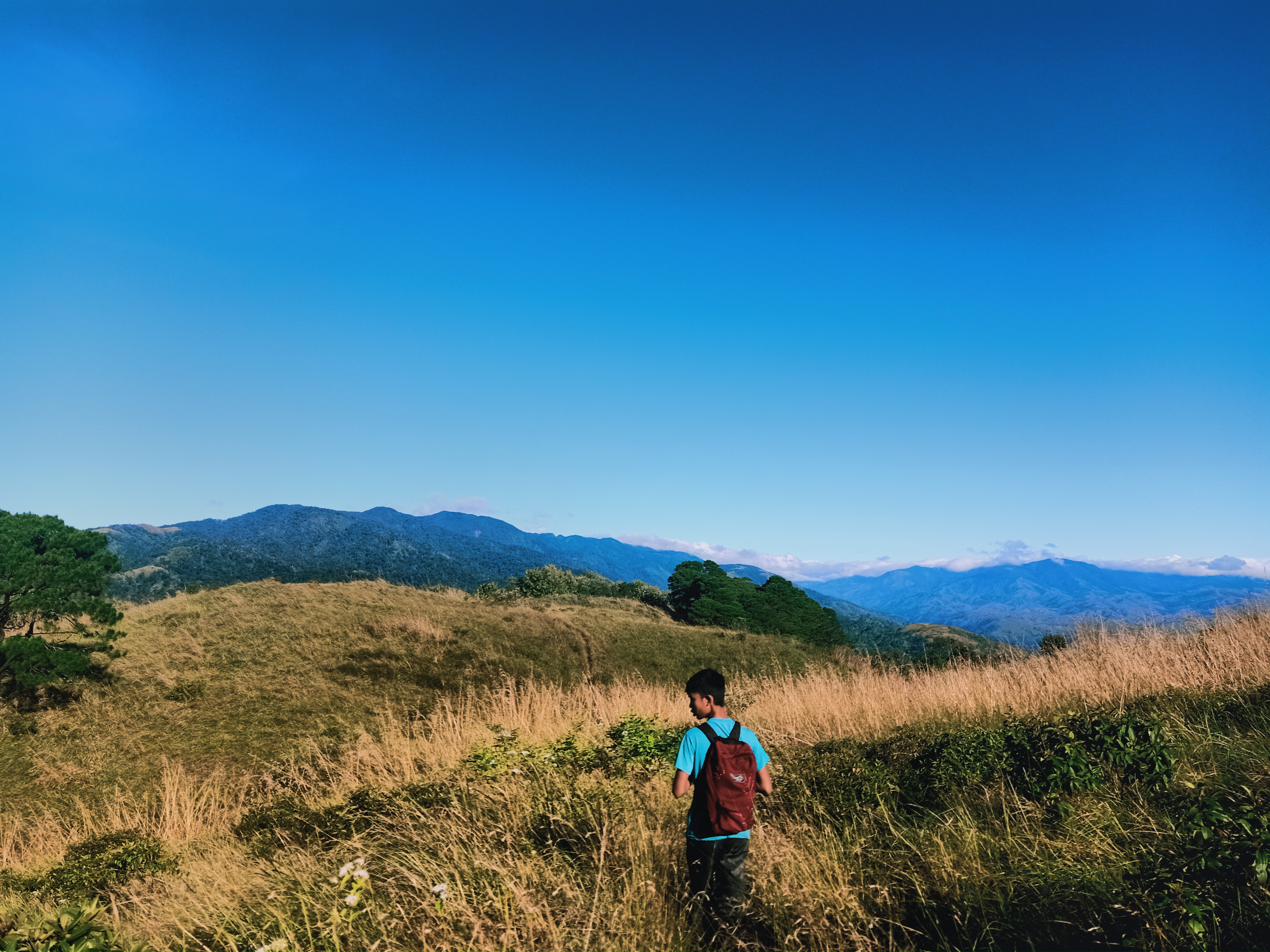 Mt. 387 (724+ MASL) Traverse to Aloha Falls – Highland Reflections ...