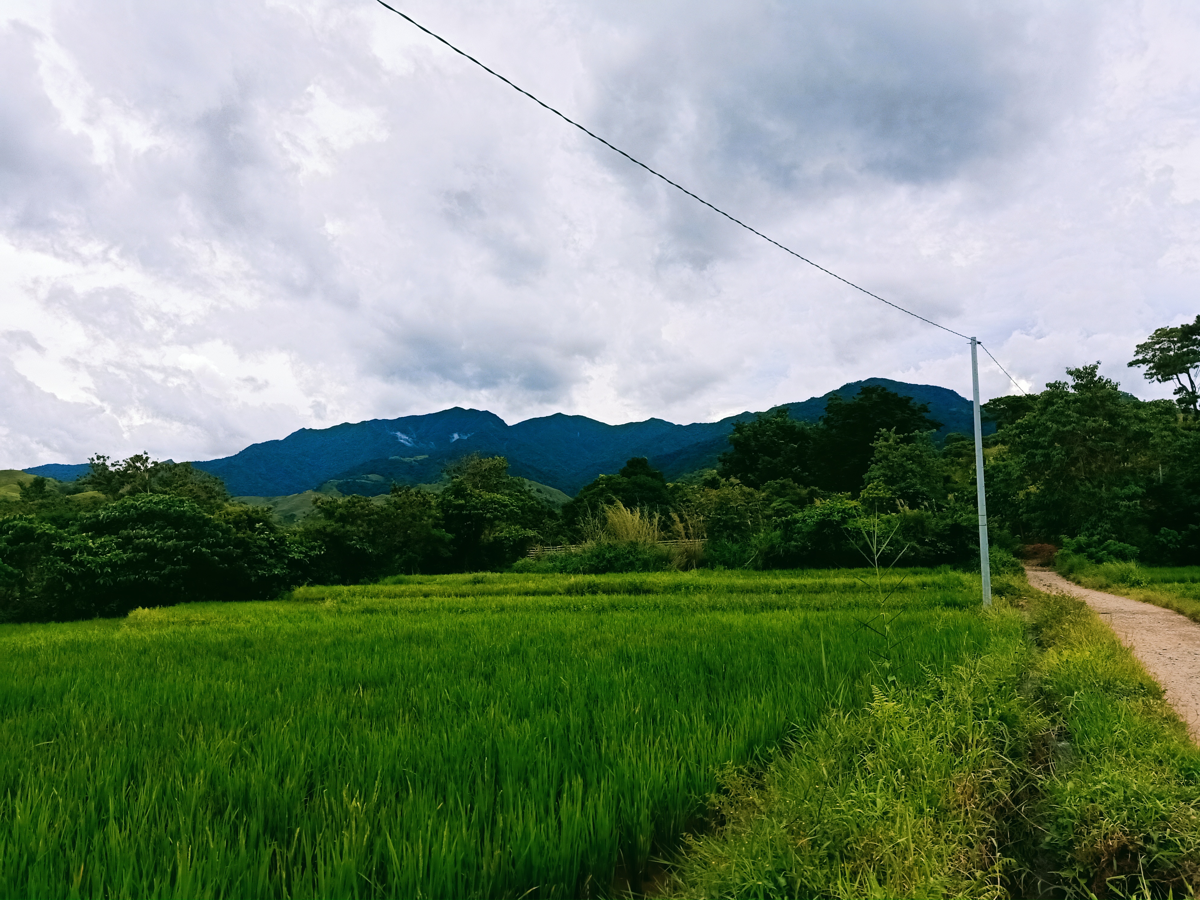 Mt. Kasahingan Loop Trail – Highland Reflections: Kaisipan, Karanasan ...