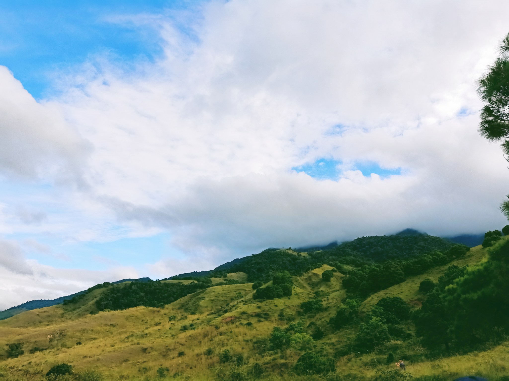 Mt. Kasahingan Loop Trail – Highland Reflections: Kaisipan, Karanasan ...