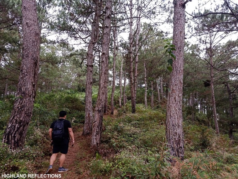 Maligcong’s Treasures: Mt. Fato & Mt. Kupapey – Highland Reflections ...