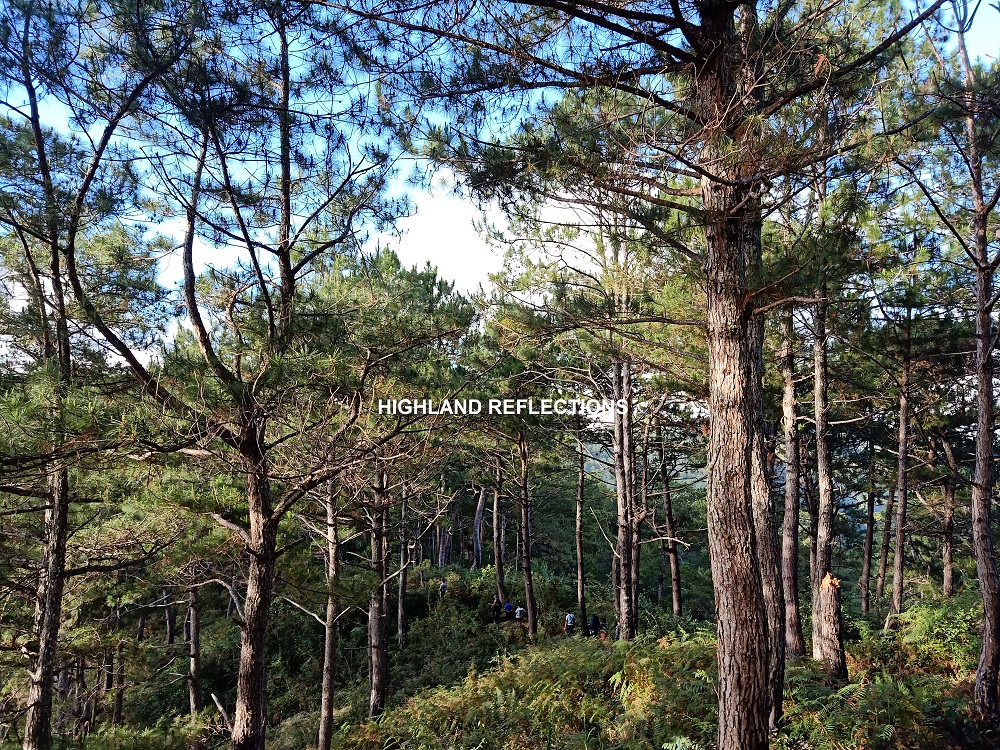 Maligcong’s Treasures: Mt. Fato & Mt. Kupapey – Highland Reflections ...