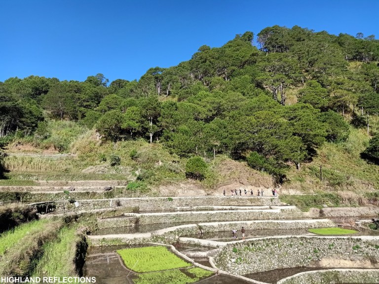 Maligcong’s Treasures: Mt. Fato & Mt. Kupapey – Highland Reflections ...