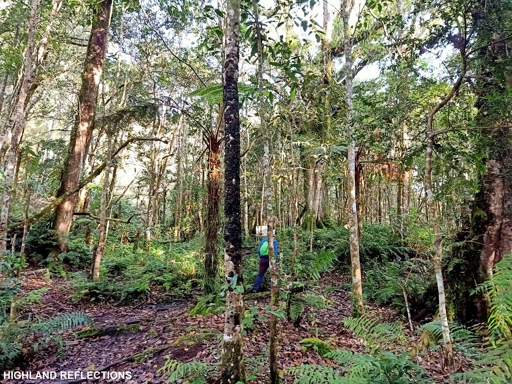 Mt. Apo (2,954+ MASL) Dayhike via Santa Cruz Trail – Highland ...
