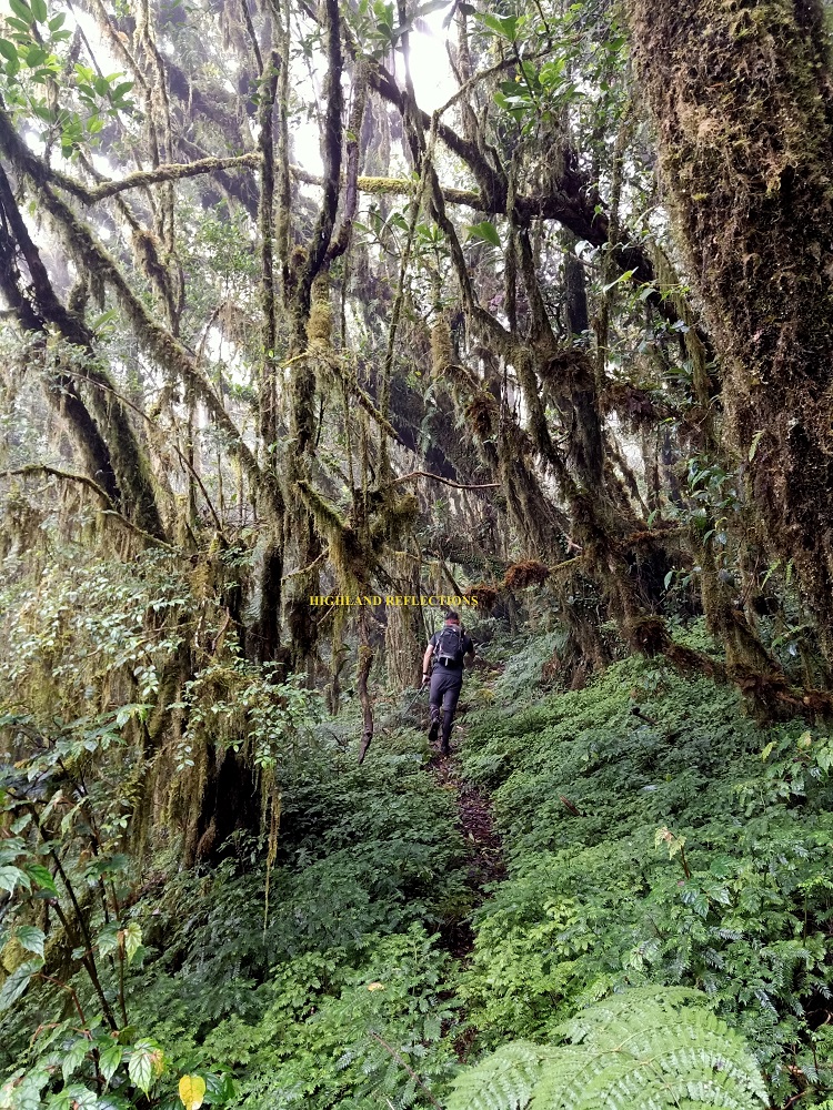 Mt. Pulag via Tawangan Trail | The Bloody Playground of the Gods ...