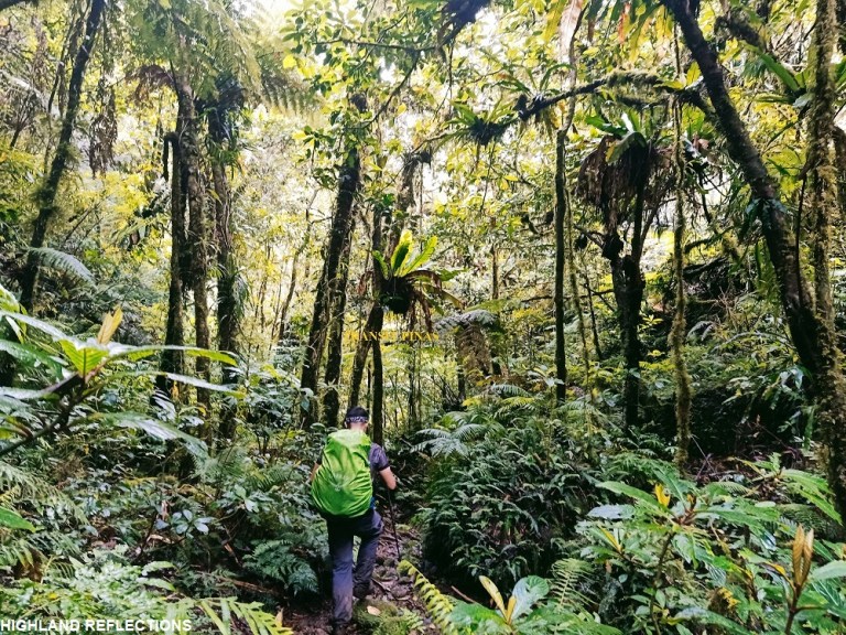 Mt. Talinis (1,903+ MASL) | Apolong-Bediao Traverse – Highland ...