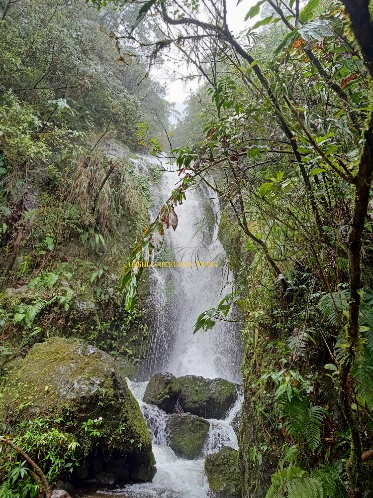 Mt. Madjaas (2,117+ MASL) | Into the Mystical Domain of the Visayan ...