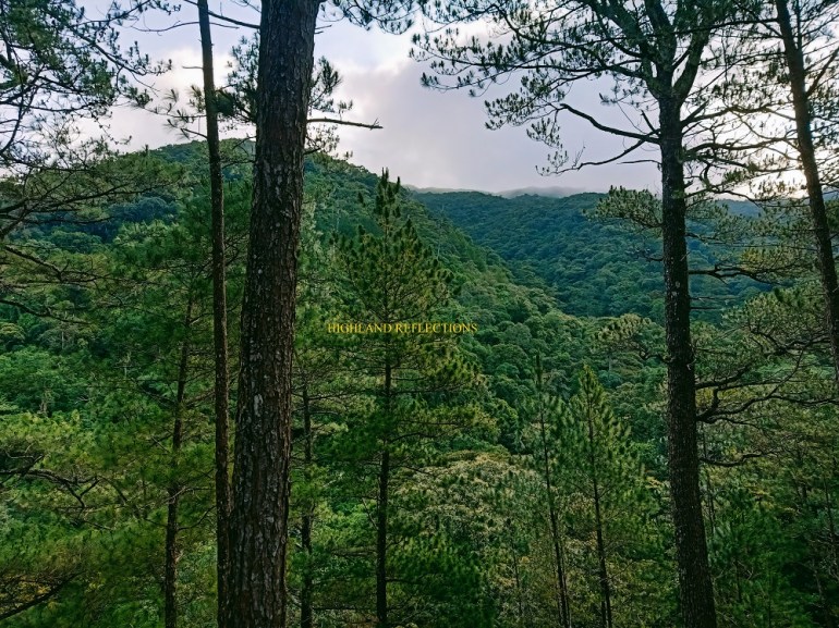 Mt. Manmanoc (2024+ MASL) | The Rooftop of Abra – Highland Reflections ...