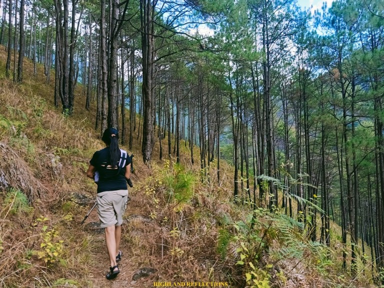Mt. Pulag via Akiki Trail | The Killer Playground of the Gods ...