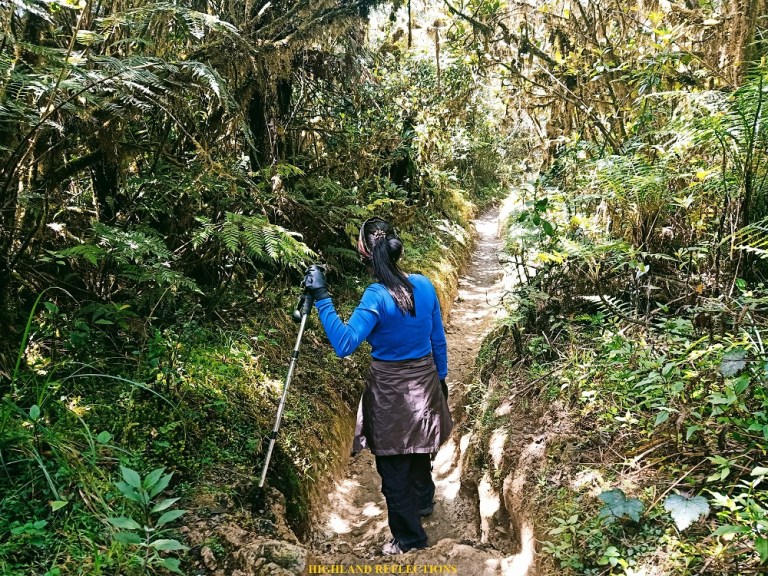 Mt. Pulag via Akiki Trail | The Killer Playground of the Gods ...