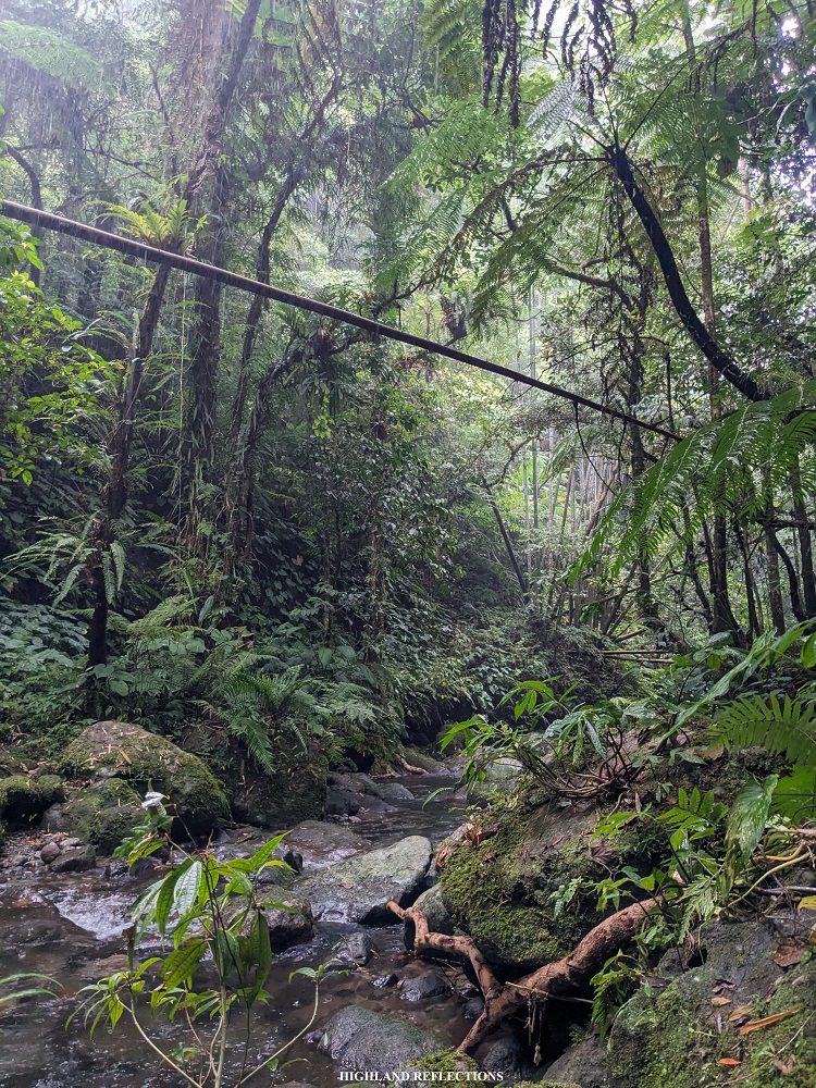 Mt. Mandalagan | Visiting the Tranquil Tinagong Dagat – Highland ...