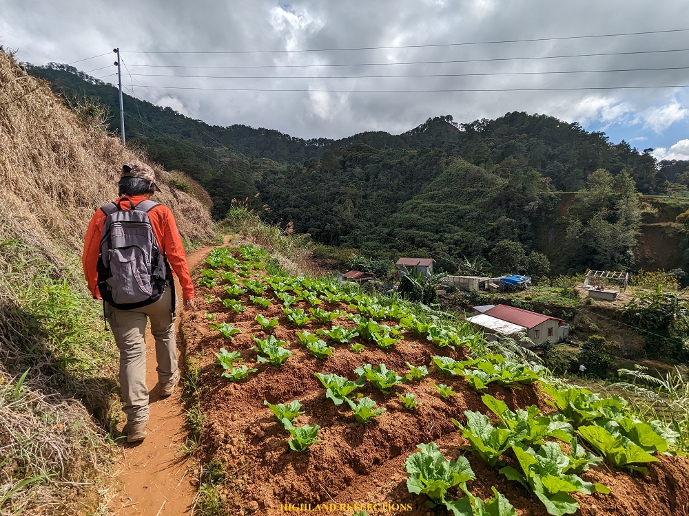 A Short Hike to Mt. Lobo / Mt. Patullok (2,087+ masl) | Bakun Trio ...