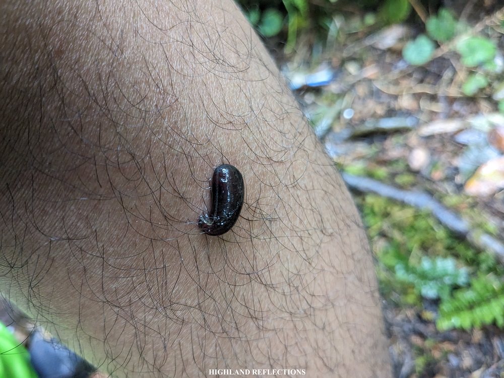 Mt. Kalawitan (2,714+ MASL) Overnight | via Talubin (Bontoc) Trail ...