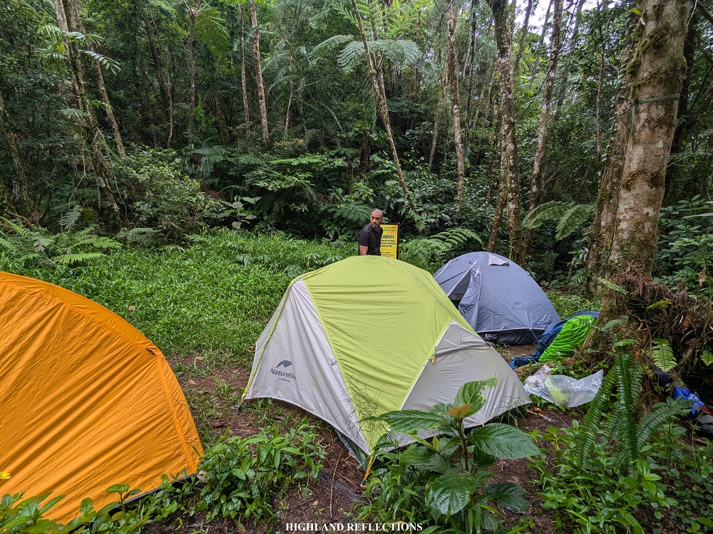 Mt. Labo (1,544+ MASL) | Into the Jungle of Camarines Norte – Highland ...