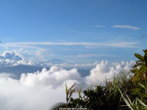 Mt. Labo (1,544+ MASL) | Into the Jungle of Camarines Norte – Highland ...
