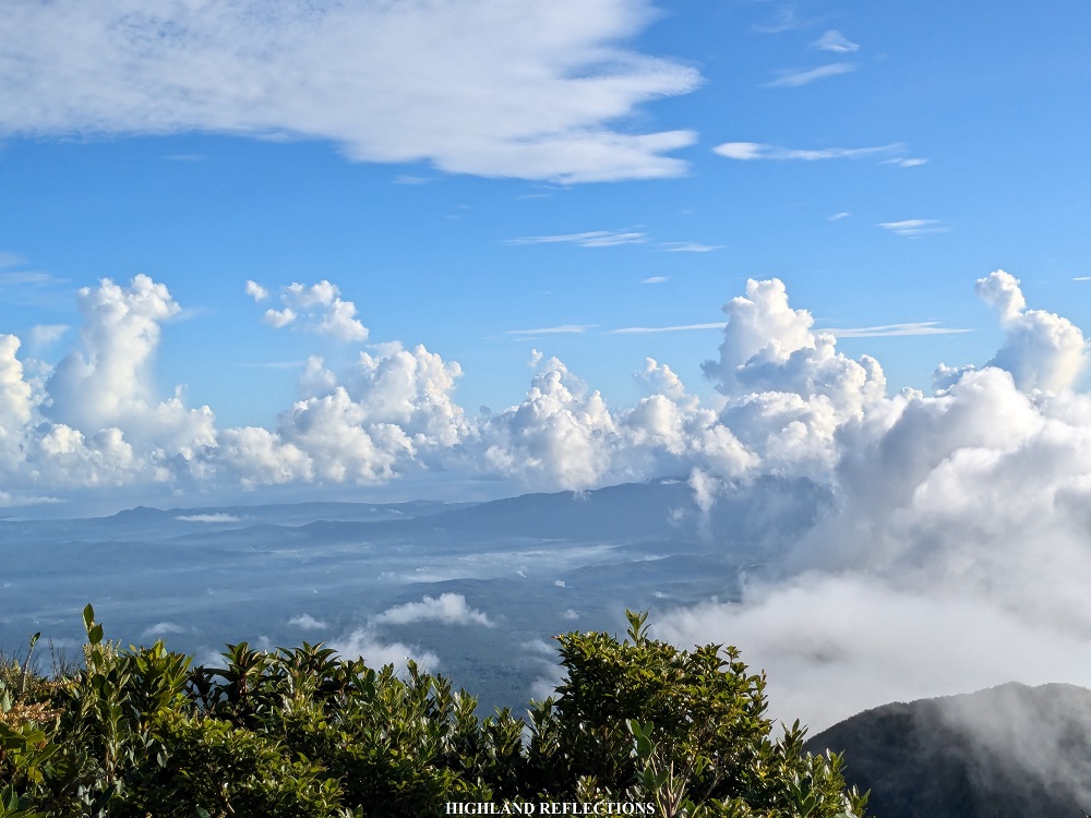 Mt. Labo (1,544+ MASL) | Into the Jungle of Camarines Norte – Highland ...