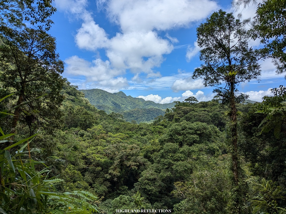 Mt. Labo (1,544+ MASL) | Into the Jungle of Camarines Norte – Highland ...