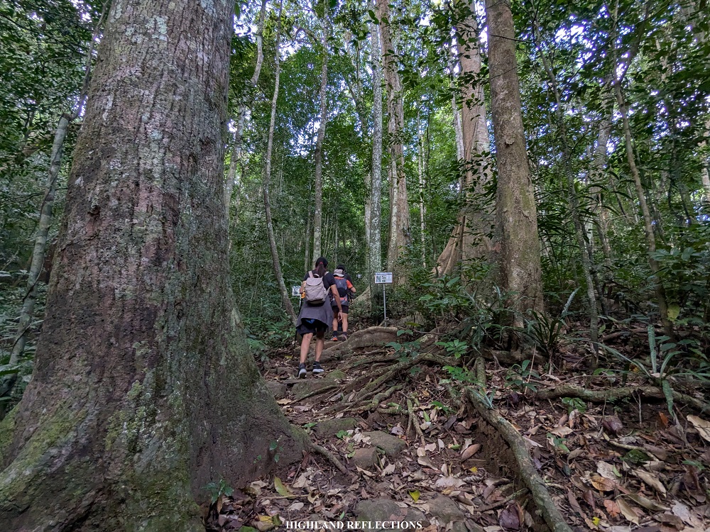 Hiking Pico de Loro (664+ MASL) in Mt. Palay-Palay, Cavite – Highland ...