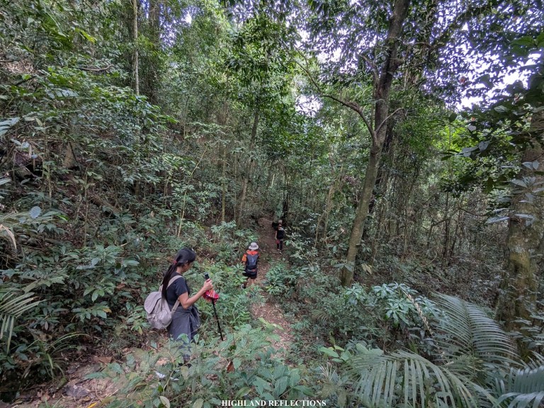 Hiking Pico de Loro (664+ MASL) in Mt. Palay-Palay, Cavite – Highland ...