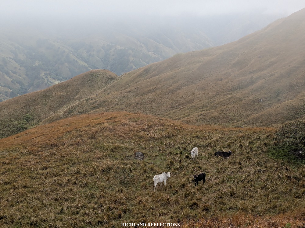 Hiking Mt. Tugew and the Peaks of Alang Salacsac in Kayapa, Nueva ...