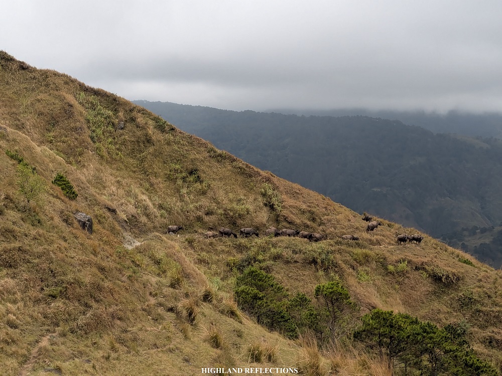 Hiking Mt. Tugew and the Peaks of Alang Salacsac in Kayapa, Nueva ...