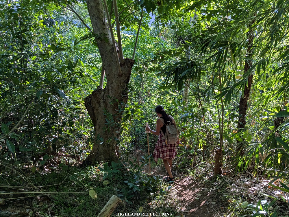 Mt. Mariglem (573+ MASL) | Day-hiking Cabangan’s Dark Mountain ...