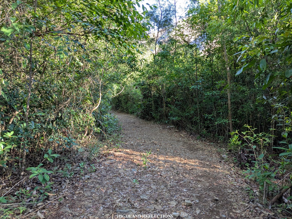 Mt. Mariglem (573+ MASL) | Day-hiking Cabangan’s Dark Mountain ...