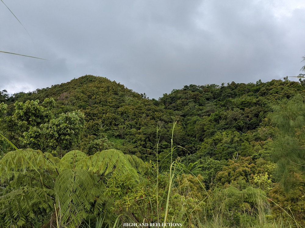 Mt. Bulakawan (536+ MASL) in Malilipot, Albay | Traverse to Busay Falls ...