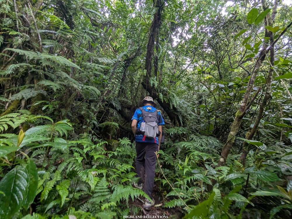 Mt. Malindig (1,157+ MASL) | The Highest Mountain in Marinduque ...