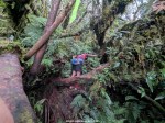 Mt. Matutum (2,286+ MASL) | South Cotabato’s Iconic Mountain – Highland ...